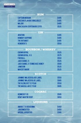 Stadium Swim - The Official Pool Party Guide [2026]